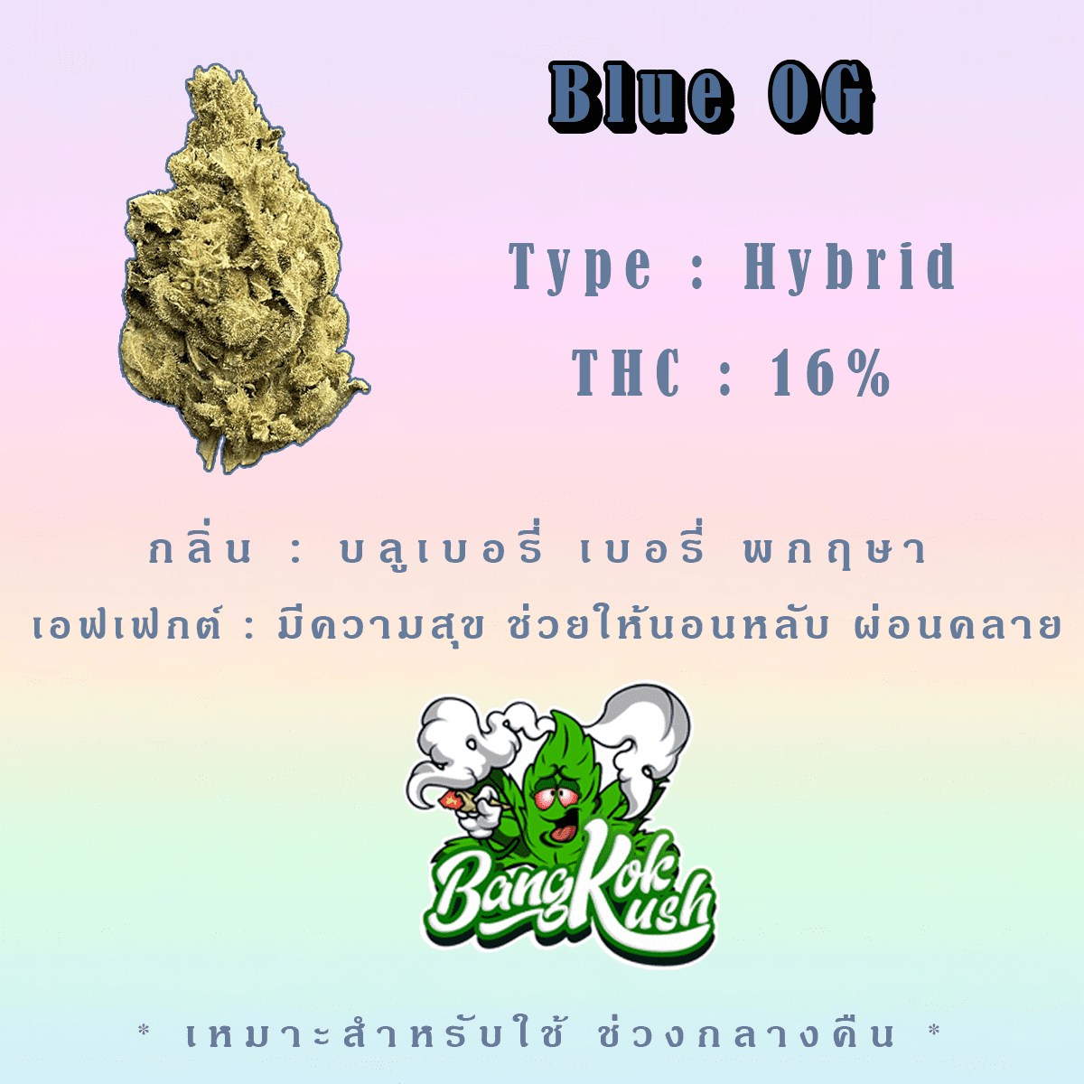 Hybrid – Bangkok Store