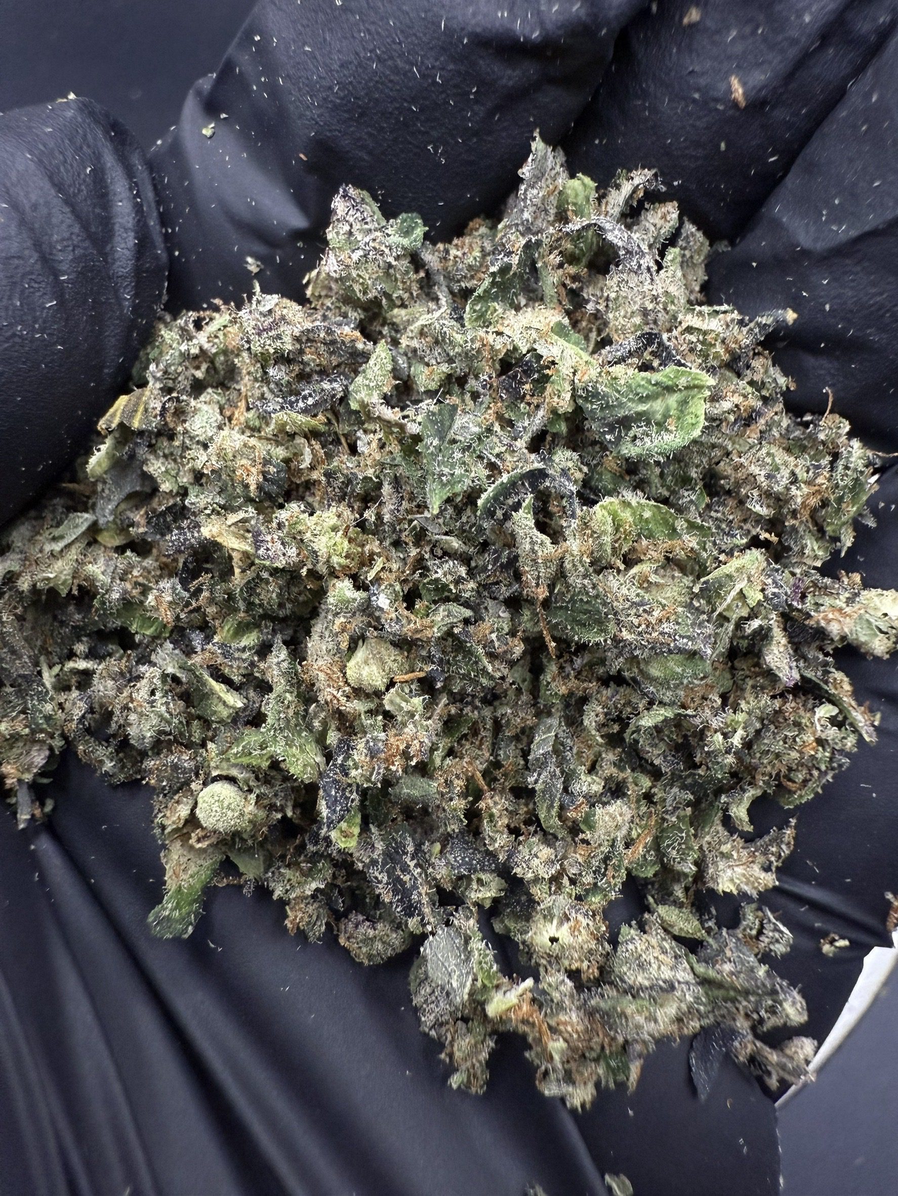 Trim Alien Mints