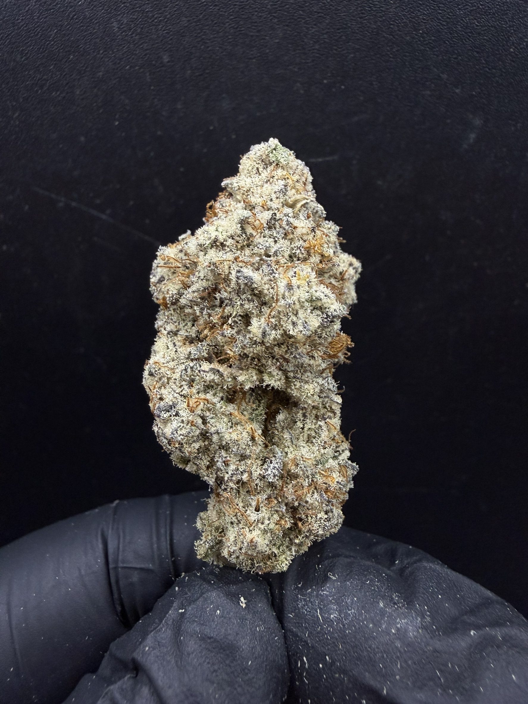Alien Bubba